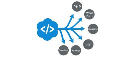 choosing the best web development platform fsc pvt ltd
