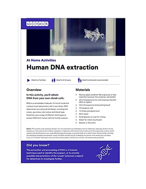 Lab Act 2 Human Dna Extraction Attach 4 To 8 Photo Documentation Of