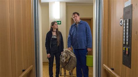 Filme Neu In Unserer Familie 1 Zwei Eltern Zu Viel Hier Anschauen