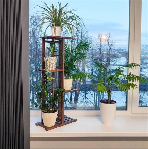 Підставка для квітів та вазонів Ясен 80х40х20 см Американський горіх Wood Wedge купити онлайн