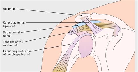 🤲 Click Physiotherapy Subacromial Or Rotator Cuff Impingement Exercises