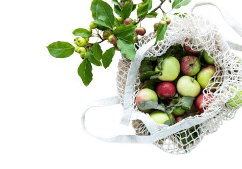 Nest Multivendor Organic And Grocery Ecommerce Laravel Script