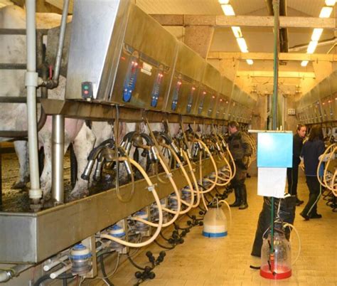 Create The Perfect Environment For Your Dairy Cattle Part 10 Rapid