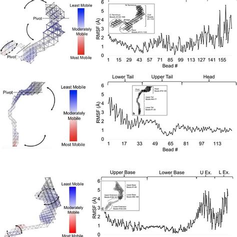 Elastic Networks Of Tropoelastin Pf2 And The Fibrillin Tropoelastin