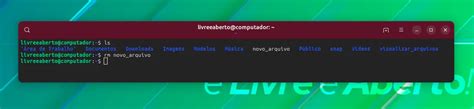 Como Excluir Arquivos E Pastas No Terminal Linux