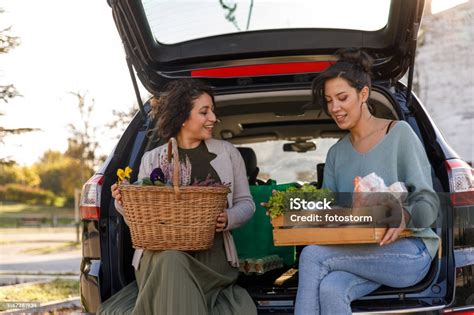 식료품과 꽃이 담긴 바구니와 상자를 들고 자동차 트렁크에 앉아 이야기를 나누는 두 여성 나무 상자에 대한 스톡 사진 및 기타 이미지 나무 상자 목재 재료 여자