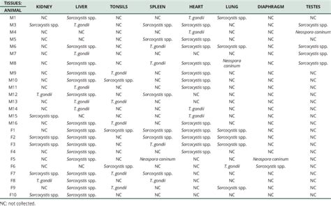 Molecular Detection Of T Gondii Sarcocystis Spp And Neospora Caninum
