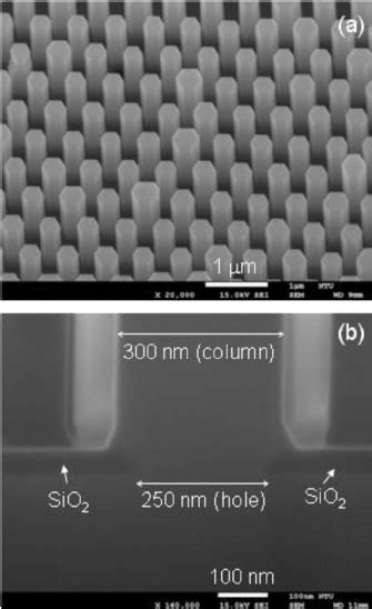͑ A ͒ A Tilted Plan View Sem Image Of Hexagonally Arranged Nanocolumns Download Scientific