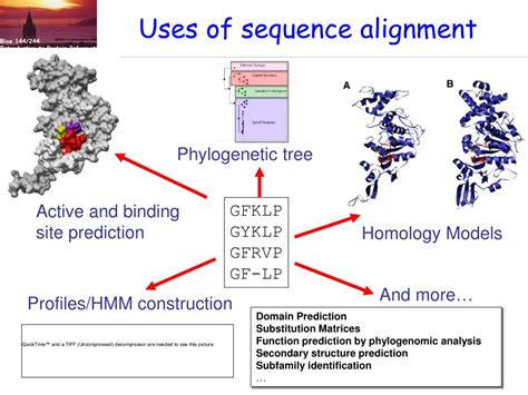 PPT Multiple Sequence Alignment MSA PowerPoint Presentation Free Download ID