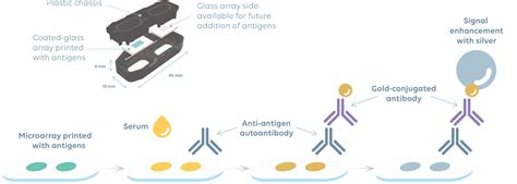 Performance Characteristics Of A Novel Fully Automated Multiplexed Immunoassay Microarray