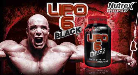 Lipo 6