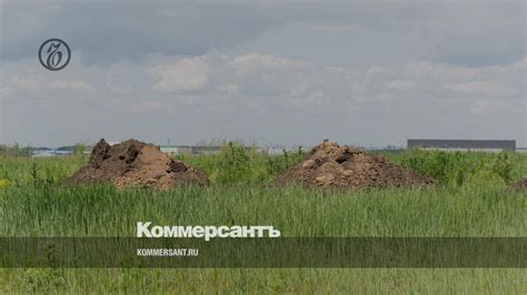 В Татарстане выявили 76 тысяч га неиспользуемых земель сельхозназначения Коммерсантъ Казань