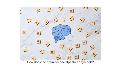 How Does The Brain Decode Written Alphabetic Letters