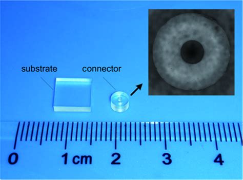 Micro‐connector And Substrate For Bonding Experiments Download