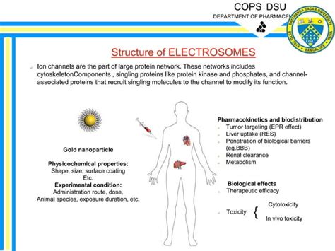 Ppt Electrosomes Pptx