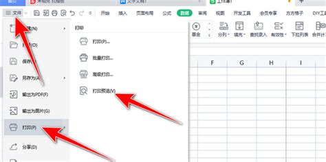 WPS表格技巧之Excel表格怎么放大打印 新知