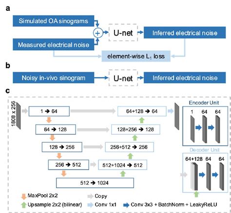 Discriminative Deep Learning Framework For Denoising Optoacoustic Download Scientific Diagram