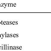 Industrial Enzymes And Their Source Of Microorganisms Download