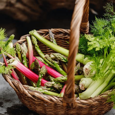 Stem Vegetables Complete List And Guide Veggiepedia