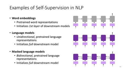 Cs Lecture Slides Selfsupervision Final Pdf