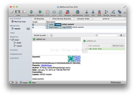 【gitsource Tree使用教程之一】commit And Pushsource Tree Commit Csdn博客