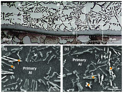 A Optical Microstructure Bc Sem Structures Of The Areas Denoted