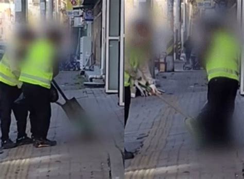 고양이 구조해주세요” 요청에삽으로 죽인 용역업체 직원들 고발돼