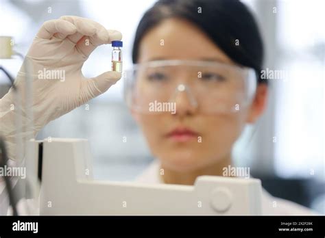 researcher gc ms gas chromatograph with mass detector analysis of