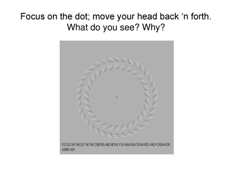 perception and cognition ppt download
