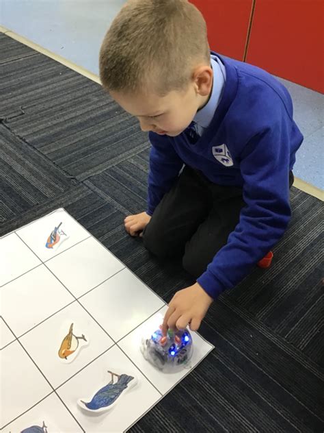 P3 Were Programming Bee Bot To Find Garden Birds
