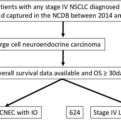 Study Flow Diagram Of Case Eligibility NSCLC Non Small Cell Lung Download Scientific Diagram