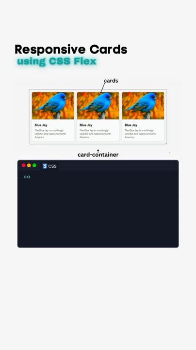Mahdi Farahani On Linkedin Css Responsive Code Frontend Developer