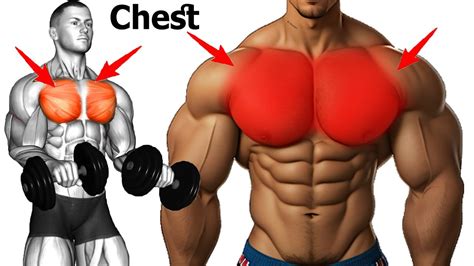 Chest Exercises Youtube At Lara Bunton Blog