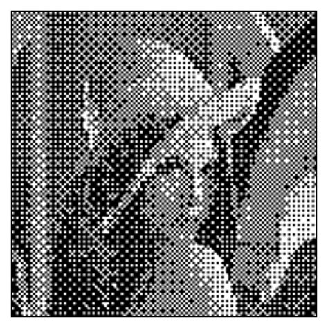 An Example Of Bit Interleaving Algorithm 12 A Lena Image B