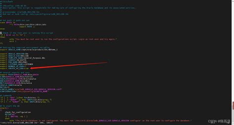 openeuler 欧拉 安装oracle19c数据库rpm包安装 openeuler安装oracle csdn博客