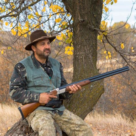 Wsat Top 国际中文站