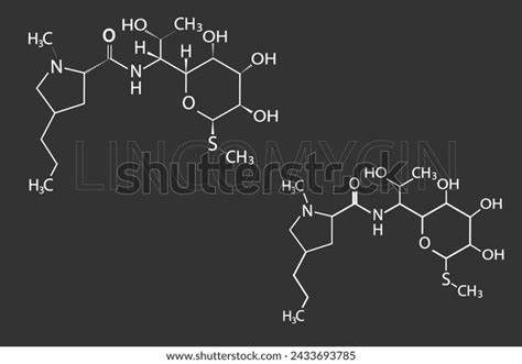 Lincomycin Molecular Skeletal Chemical Formula Stock Vector Royalty