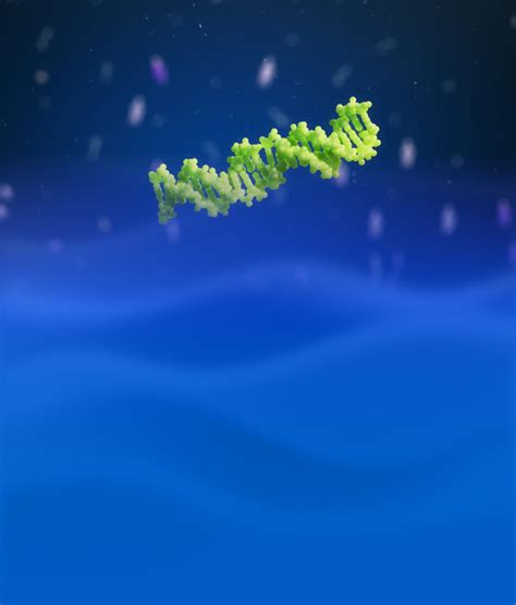 How To Analyze And Separate Oligonucleotides And Active Metabolites Using Lc Ms Ms Wuxi Apptec