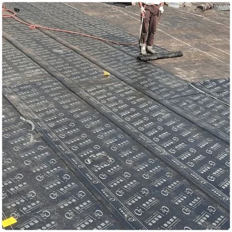 Mineral Granule Sbs App Modified Asphalt Roofing Torch Rolls Bitumen