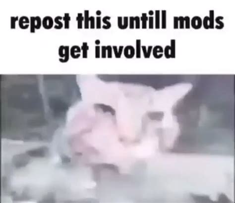 It Loops Now Rule R196