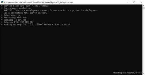 Vs2019 调试python Flask 进入断点失败的解决方法vs019 不能调试python Csdn博客
