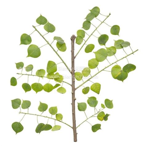 Blender深色榻榻米床垫材质球纹理贴图下载 Blender模型库