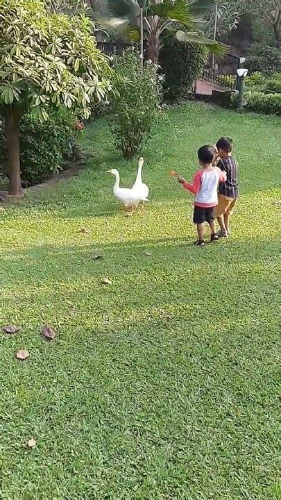 Tora Mora Relation Re Nahin Nahin Shortsyoutube Funny Love Youtube