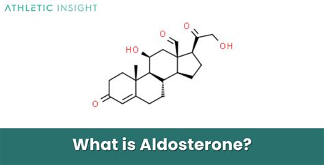 Aldosterone A Comprehensive Look At Its Definition Function And