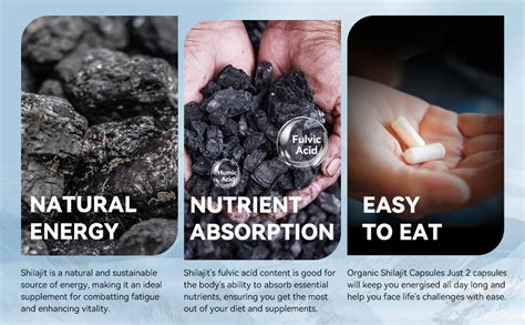 Shilajit Himalayan Capsules Pure Himalayan Organic