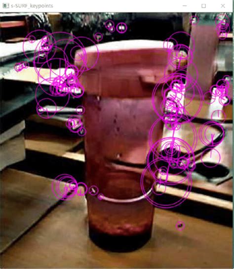 image feature extracted by the s surf algorithm download scientific diagram