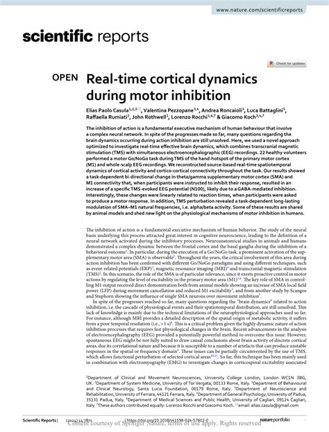 Pdf Real Time Cortical Dynamics During Motor Inhibition