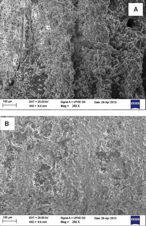 Worn Surface Morphology Run At 35 M S⁻¹ With 10 N Load Untreated
