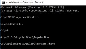 Angular Environment Setup In Visual Studio Dot Net Tutorials