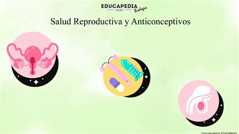 Salud Reproductiva Y Anticonceptivos Educapedia